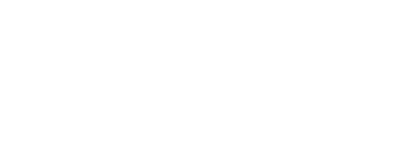 Making the Mark 2025 - BlueMark