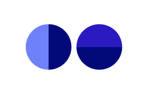 What we do - BlueMark