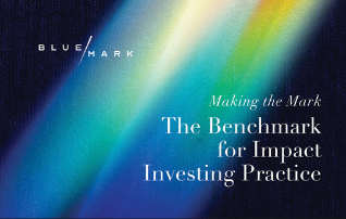 Making the mark 2021 - BlueMark