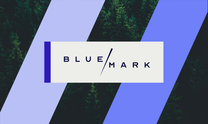 "Impact Best Practices Guide for Asset Allocators" - BlueMark