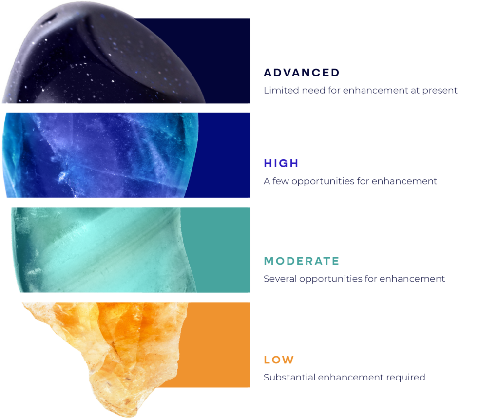 “Raising the Bar 2.0: BlueMark’s Framework for Evaluating Impact ...
