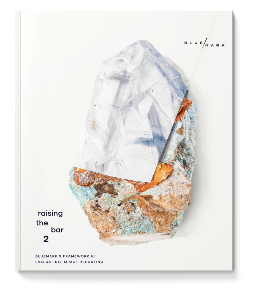 “Raising the Bar 2.0: BlueMark’s Framework for Evaluating Impact ...