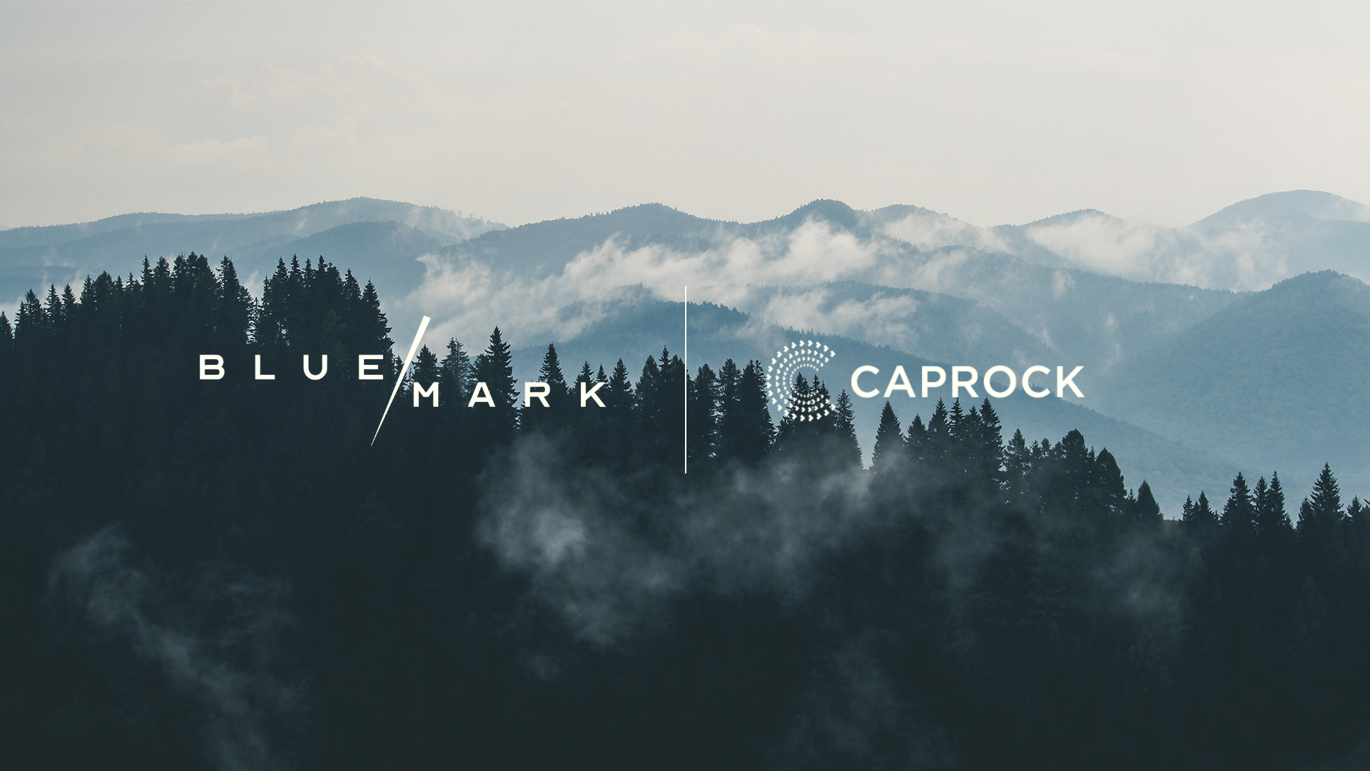 BlueMark, Caprock Impact Reporting Technology Deal to Advance Impact ...